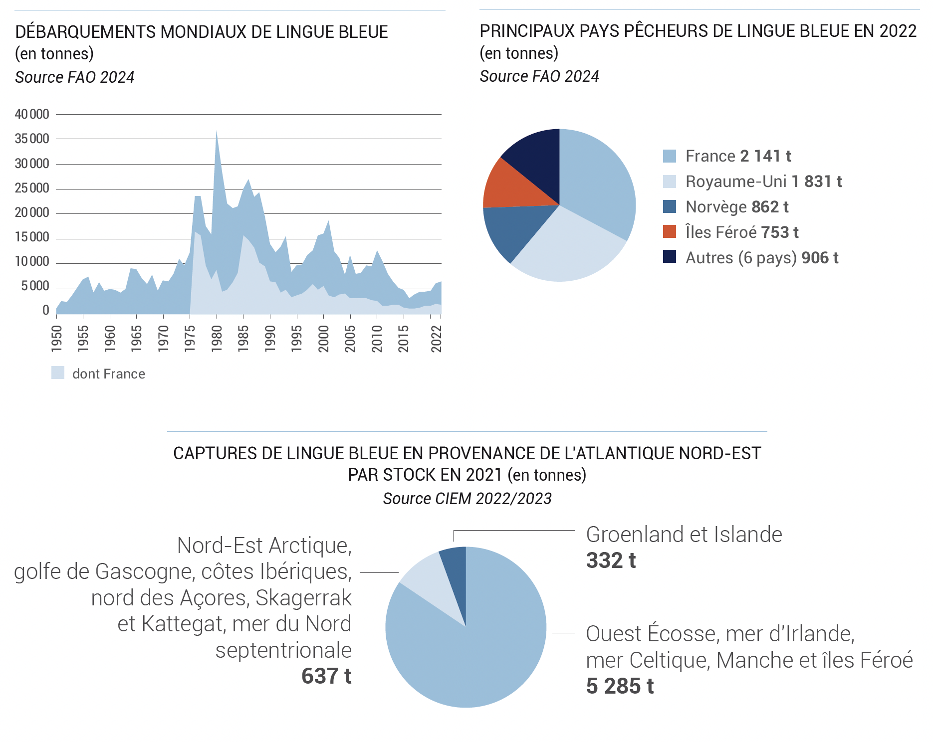 Lingue bleue | Guide des espèces
